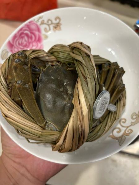 太湖大闸蟹什么时候上市_上市时间-第1张图片-山城妙识