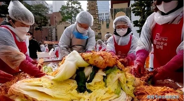韩国白菜价格暴涨原因_如何应对泡菜危机-第3张图片-山城妙识