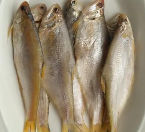 黄鲫子鱼是海鱼还是河鱼_黄鲫子鱼生长环境-第1张图片-山城妙识