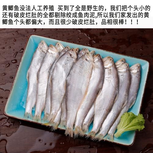 黄鲫子鱼是海鱼还是河鱼_黄鲫子鱼生长环境-第3张图片-山城妙识