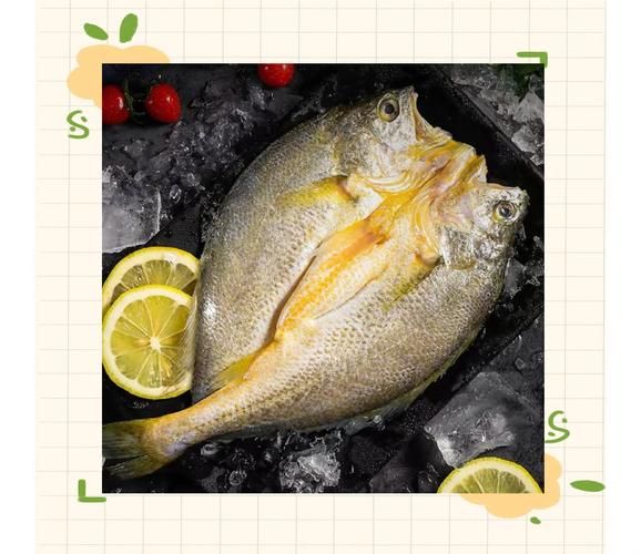 黄鱼鲞是黄花鱼吗_黄鱼鲞和黄花鱼的区别-第3张图片-山城妙识 黄鱼鲞是黄花鱼吗_黄鱼鲞和黄花鱼的区别-第3张图片-山城妙识