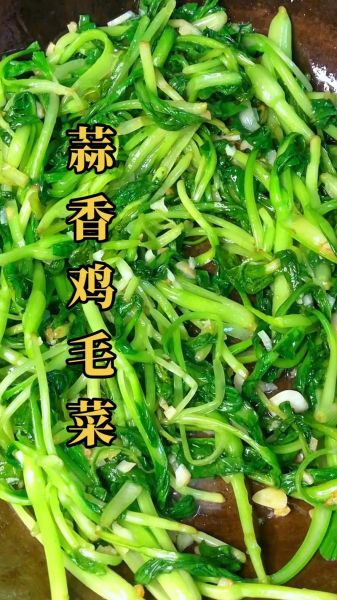 鸡毛菜怎么炒好吃_鸡毛菜图片长什么样-第2张图片-山城妙识