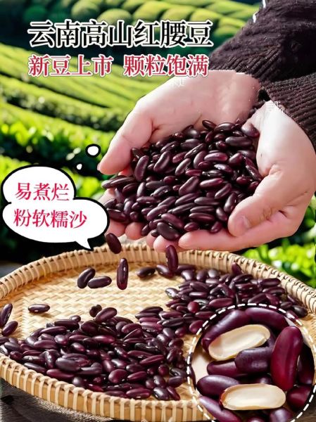 红芸豆和白芸豆的区别_哪个更适合减肥-第3张图片-山城妙识 红芸豆和白芸豆的区别_哪个更适合减肥-第3张图片-山城妙识