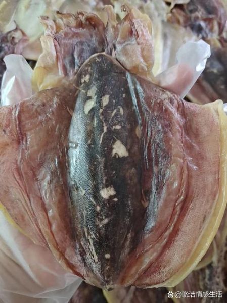 乌贼骨哪些人不能吃_乌贼骨与什么相克-第3张图片-山城妙识 乌贼骨哪些人不能吃_乌贼骨与什么相克-第3张图片-山城妙识