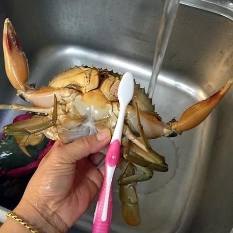 活的螃蟹怎么杀死_如何快速杀活蟹-第1张图片-山城妙识 活的螃蟹怎么杀死_如何快速杀活蟹-第1张图片-山城妙识