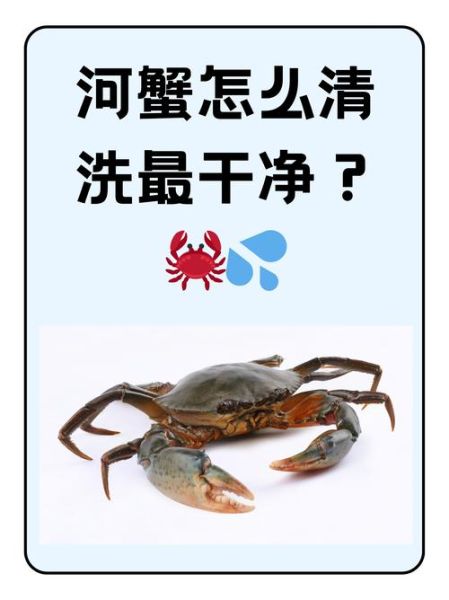 活的螃蟹怎么杀死_如何快速杀活蟹-第3张图片-山城妙识 活的螃蟹怎么杀死_如何快速杀活蟹-第3张图片-山城妙识