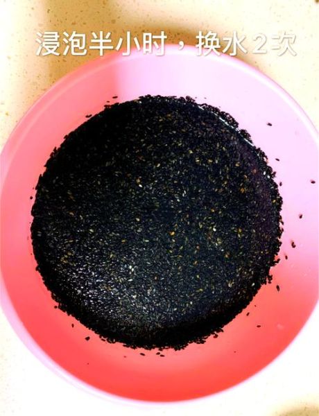 宝宝黑芝麻酱怎么做_婴儿辅食黑芝麻酱做法-第3张图片-山城妙识