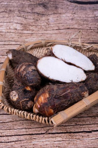 芋头有几种种类_常见芋头品种图片对比-第3张图片-山城妙识 芋头有几种种类_常见芋头品种图片对比-第3张图片-山城妙识