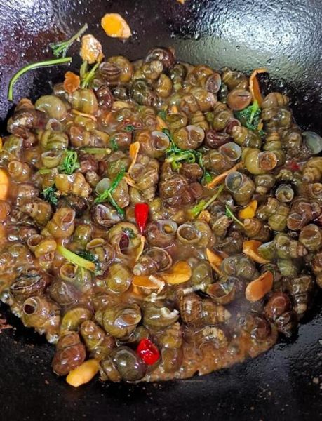 大田螺怎么清洗_大田螺怎么炒才好吃-第3张图片-山城妙识 大田螺怎么清洗_大田螺怎么炒才好吃-第3张图片-山城妙识