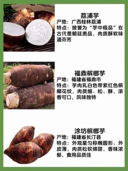 芋头有几种种类_常见芋头品种图片对比-第1张图片-山城妙识 芋头有几种种类_常见芋头品种图片对比-第1张图片-山城妙识