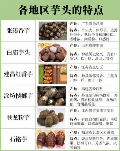芋头有几种种类_常见芋头品种图片对比-第2张图片-山城妙识 芋头有几种种类_常见芋头品种图片对比-第2张图片-山城妙识