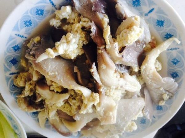 鲜蘑炒鸡蛋会不会中毒_鲜蘑炒鸡蛋中毒原因-第2张图片-山城妙识