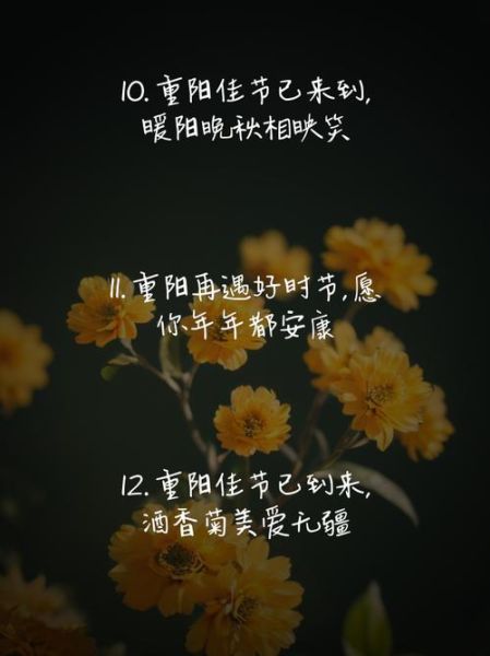 重阳节佳句有哪些_如何写出感人重阳节文案-第3张图片-山城妙识