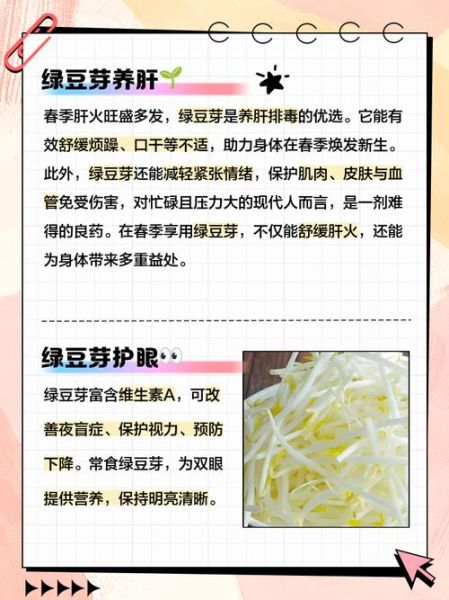绿豆芽的功效与作用禁忌_哪些人不能吃-第3张图片-山城妙识