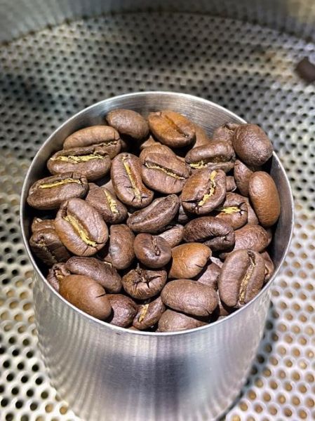 麝香猫咖啡豆为什么贵_麝香猫咖啡豆口感特点-第2张图片-山城妙识