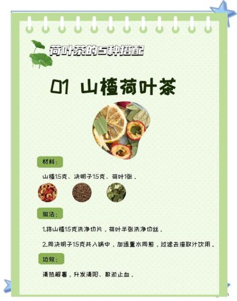 荷叶茶哪些人不能喝_荷叶茶副作用有哪些-第2张图片-山城妙识