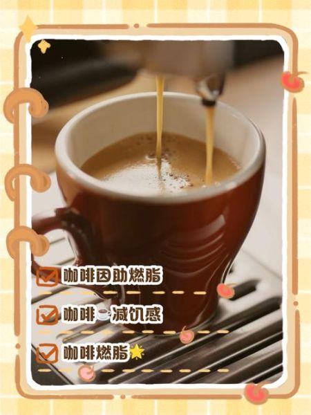 能量咖啡的功效与作用_能量咖啡能减肥吗-第3张图片-山城妙识