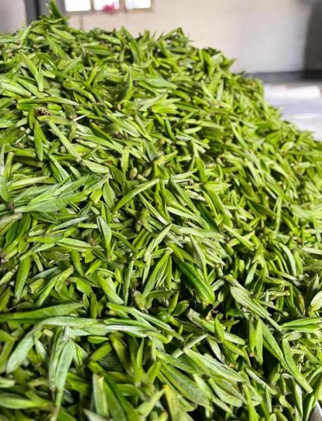 安徽名茶排行榜前十名有哪些_黄山毛峰为何稳居第一-第2张图片-山城妙识
