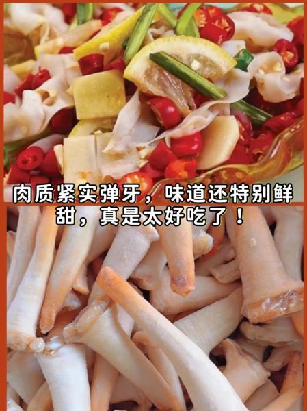 象拔蚌怎么吃_象拔蚌刺身做法-第3张图片-山城妙识