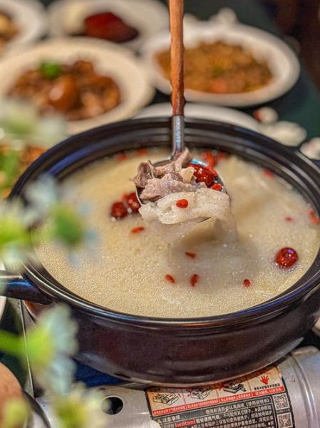 鹅肉汤怎么做才好吃_鹅肉汤的营养价值-第1张图片-山城妙识