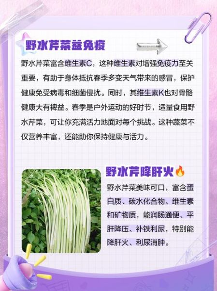 野水芹菜的功效与作用_野水芹菜的禁忌人群-第3张图片-山城妙识 野水芹菜的功效与作用_野水芹菜的禁忌人群-第3张图片-山城妙识