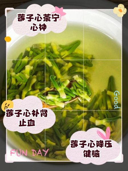 莲子心泡水喝的功效与作用_莲子心能降血压吗-第1张图片-山城妙识 莲子心泡水喝的功效与作用_莲子心能降血压吗-第1张图片-山城妙识