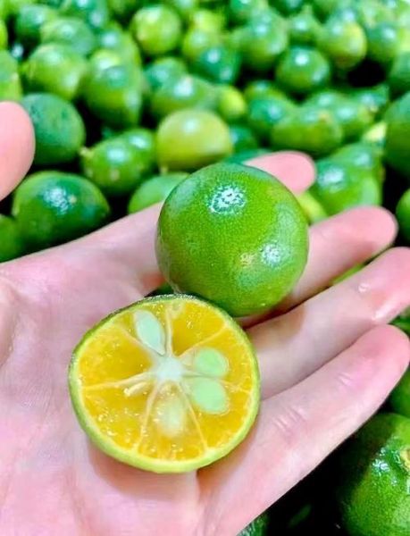 青柠檬怎么泡水喝_青柠檬泡水要不要去皮-第1张图片-山城妙识