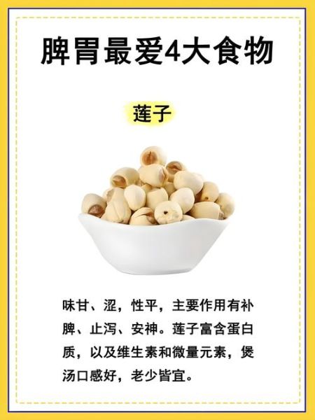 莲子怎么吃最营养_莲子禁忌人群有哪些-第3张图片-山城妙识