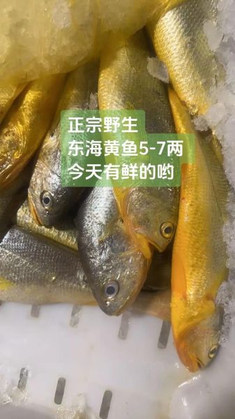 黄鱼视频国产怎么下载_黄鱼视频国产安全吗-第3张图片-山城妙识 黄鱼视频国产怎么下载_黄鱼视频国产安全吗-第3张图片-山城妙识