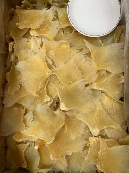 鱼翅多少钱一斤_鱼翅价格为什么差距大-第1张图片-山城妙识