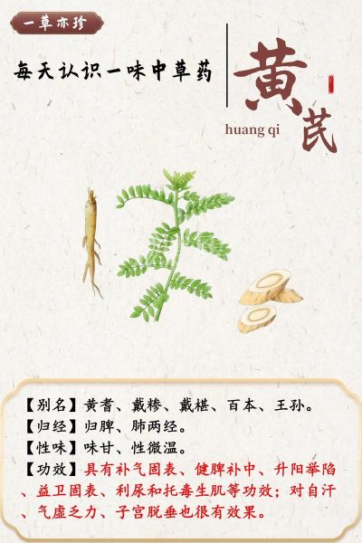 黄芪的功效与作用禁忌_什么人不能吃黄芪-第2张图片-山城妙识