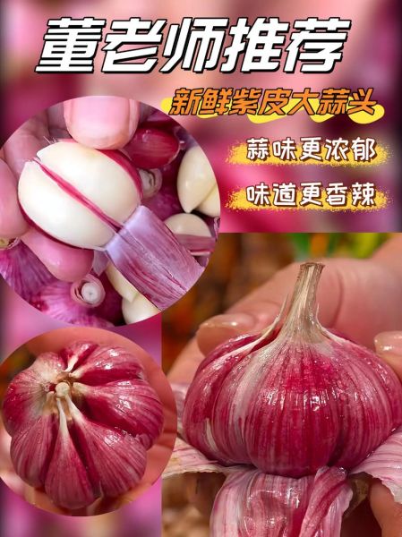 香蒜和大蒜的区别_哪个更好吃-第2张图片-山城妙识