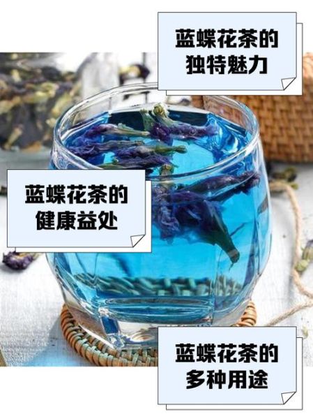 蓝蝴蝶花泡水喝的功效_蓝蝴蝶花泡水可以天天喝吗-第2张图片-山城妙识