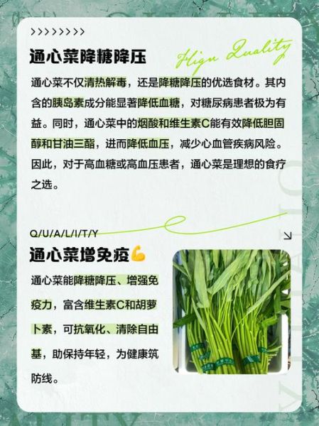 通心菜的功效与作用_通心菜怎么吃最营养-第1张图片-山城妙识