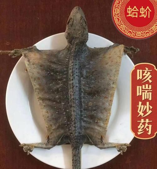 蛤蚧定喘胶囊的功效与作用_蛤蚧定喘胶囊适合什么人吃-第3张图片-山城妙识