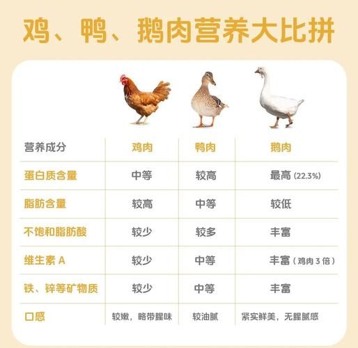 鹅肉热量高还是鸡肉_减肥选哪个-第1张图片-山城妙识