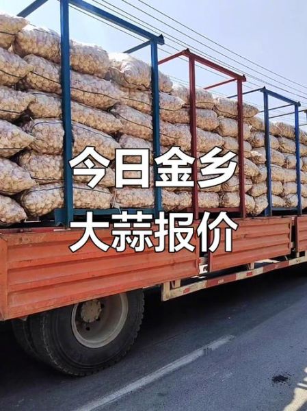 金乡大蒜今日价格_金乡大蒜行情为何波动-第3张图片-山城妙识 金乡大蒜今日价格_金乡大蒜行情为何波动-第3张图片-山城妙识