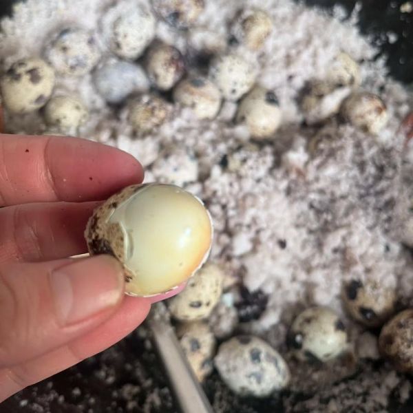 盐焗鹌鹑蛋怎么做_盐焗鹌鹑蛋要多久-第2张图片-山城妙识 盐焗鹌鹑蛋怎么做_盐焗鹌鹑蛋要多久-第2张图片-山城妙识