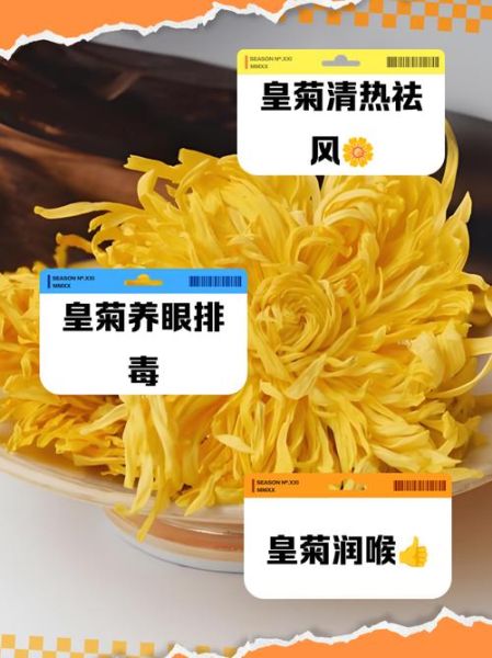 金丝皇菊泡水喝的功效_金丝皇菊怎么泡才正确-第1张图片-山城妙识