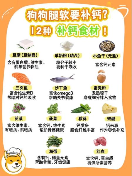 补钙期间不能吃什么_补钙十大禁忌有哪些-第1张图片-山城妙识