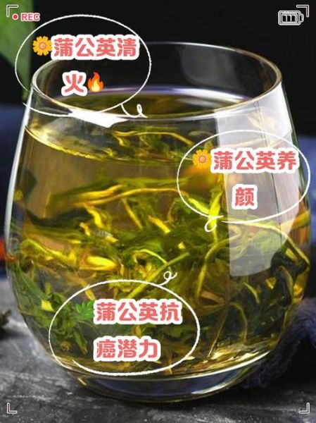 蒲公英茶的功效与作用_蒲公英茶怎么喝-第2张图片-山城妙识