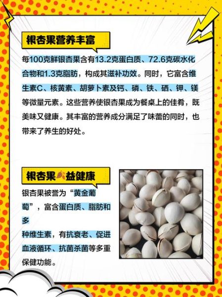银杏果生吃有什么好处_生吃银杏果能直接吸收哪些营养-第2张图片-山城妙识