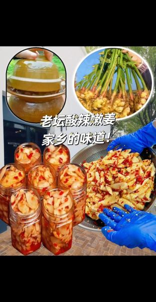 酱油腌生姜的做法大全_生姜怎么腌制才脆嫩-第3张图片-山城妙识