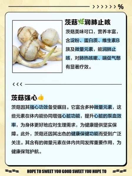 茨菇怎么种_茨菇高产栽培技术-第1张图片-山城妙识 茨菇怎么种_茨菇高产栽培技术-第1张图片-山城妙识