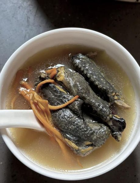 补血补气乌鸡汤窍门_乌鸡汤怎么炖最补气血-第3张图片-山城妙识 补血补气乌鸡汤窍门_乌鸡汤怎么炖最补气血-第3张图片-山城妙识