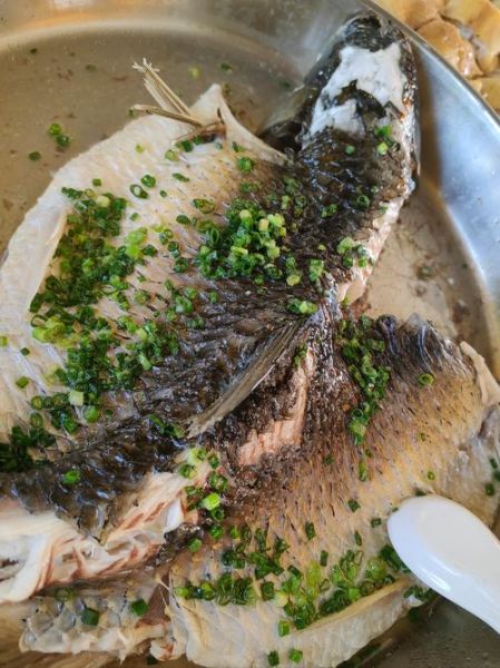 鲬鱼怎么做好吃_鲬鱼多少钱一斤-第2张图片-山城妙识
