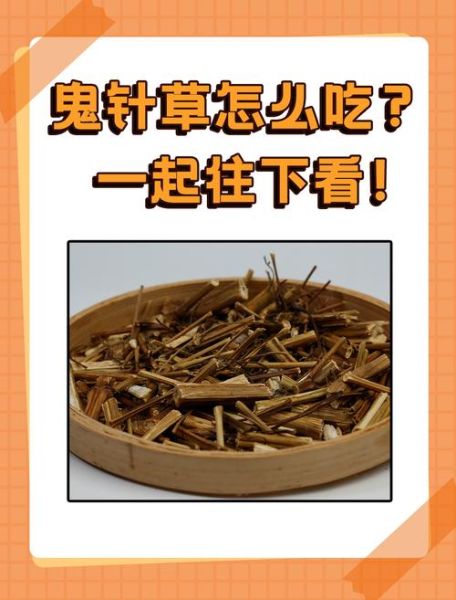 鬼针草偏方有哪些_鬼针草怎么用效果最好-第2张图片-山城妙识 鬼针草偏方有哪些_鬼针草怎么用效果最好-第2张图片-山城妙识