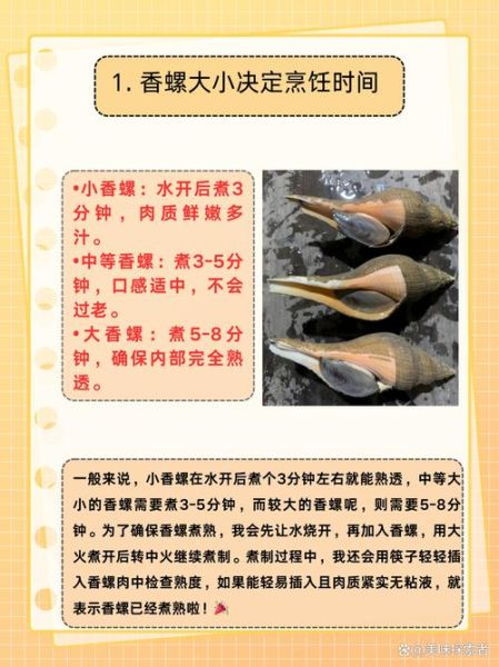 香螺哪里不能吃图解_香螺内脏位置图解-第2张图片-山城妙识 香螺哪里不能吃图解_香螺内脏位置图解-第2张图片-山城妙识