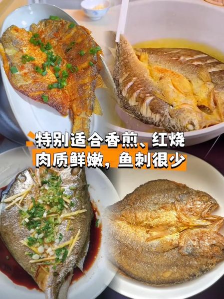 鲞鱼怎么做好吃_鲞鱼图片长什么样-第2张图片-山城妙识