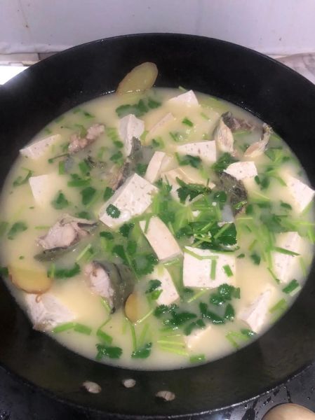 鲶鱼炖豆腐怎么做_鲶鱼的做法大全视频-第1张图片-山城妙识 鲶鱼炖豆腐怎么做_鲶鱼的做法大全视频-第1张图片-山城妙识